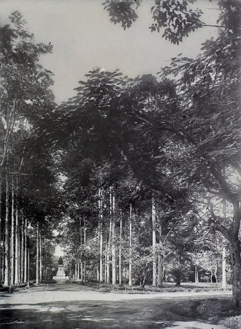 Lịch sử hình thành và hình ảnh xưa của công viên Tao Đàn - "Vườn thượng ...